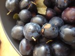It’s Seasonal: Damson Cheese and Damson Butter | The Savage & The Sage